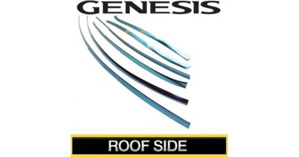 Genesis : [KUMCHANG] Hyundai Genesis - Real Stainless Roof Side Molding Set