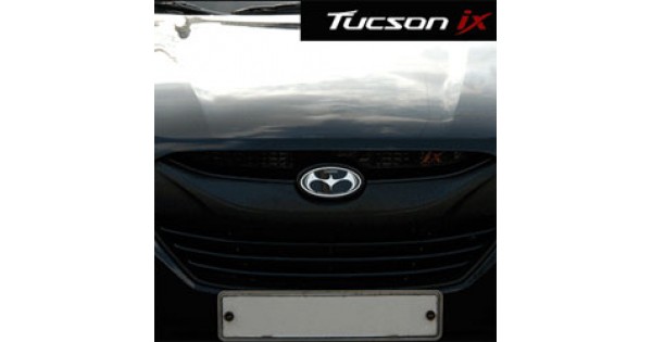 Emblem & Logo : [ARTX] Hyundai Tucson iX - Luxury Eagles Tuning Emblem Set